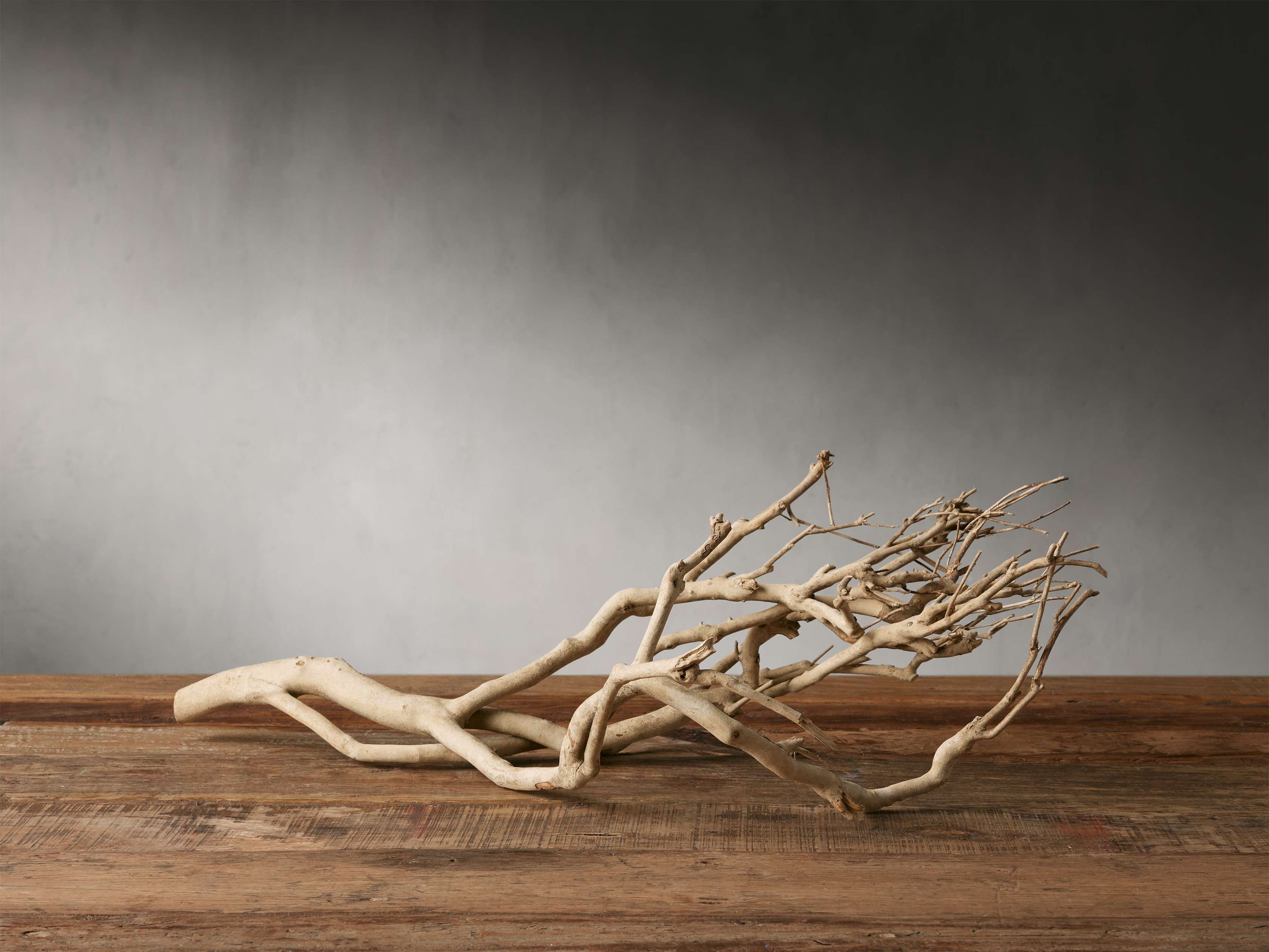 Natural Tea Tree Branch – Arhaus