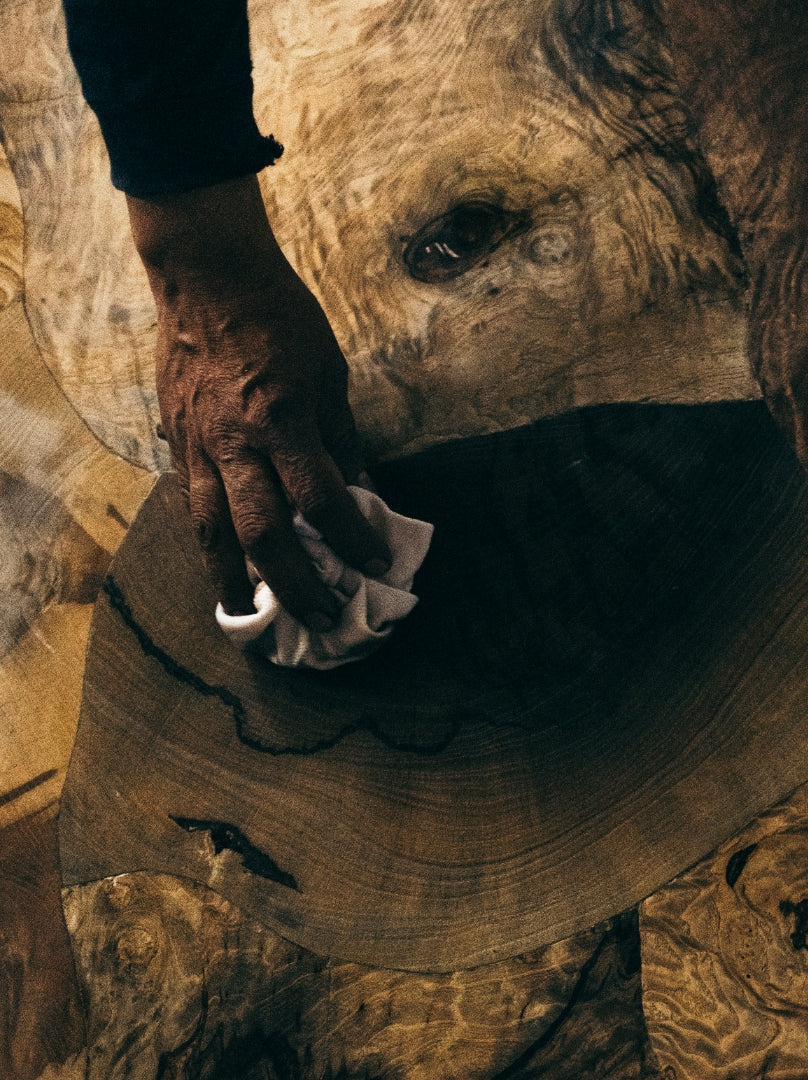 Rooted | Arhaus