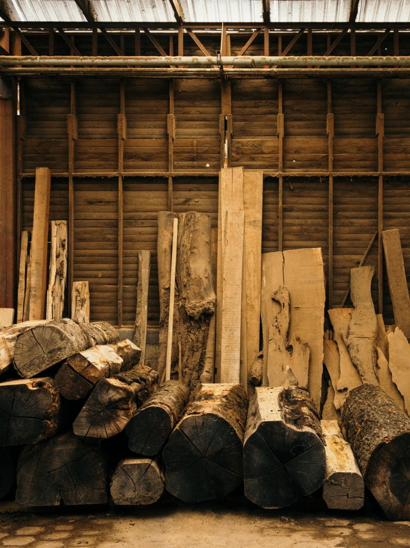 Rooted | Arhaus