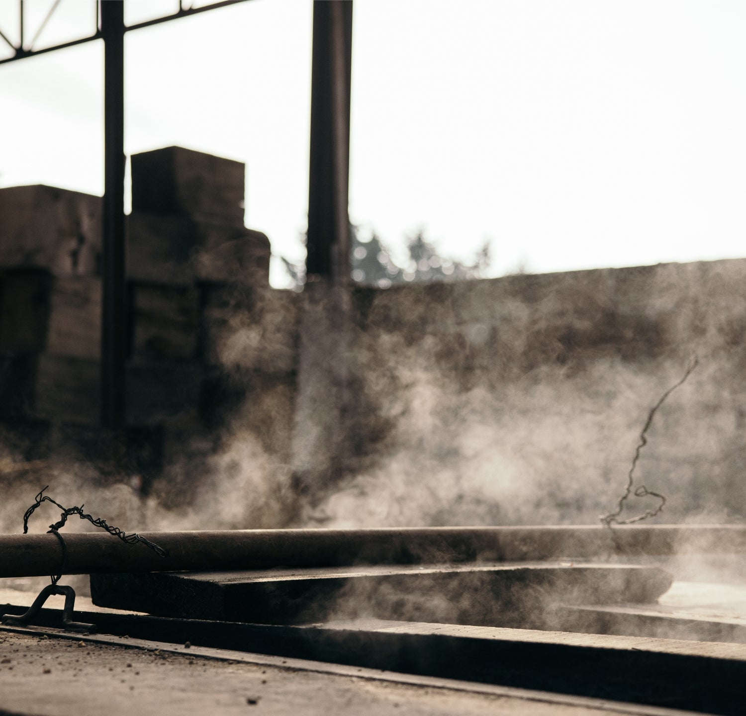 A Laboratory of Logs – Arhaus