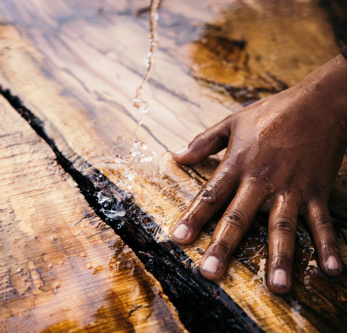 A Laboratory of Logs – Arhaus