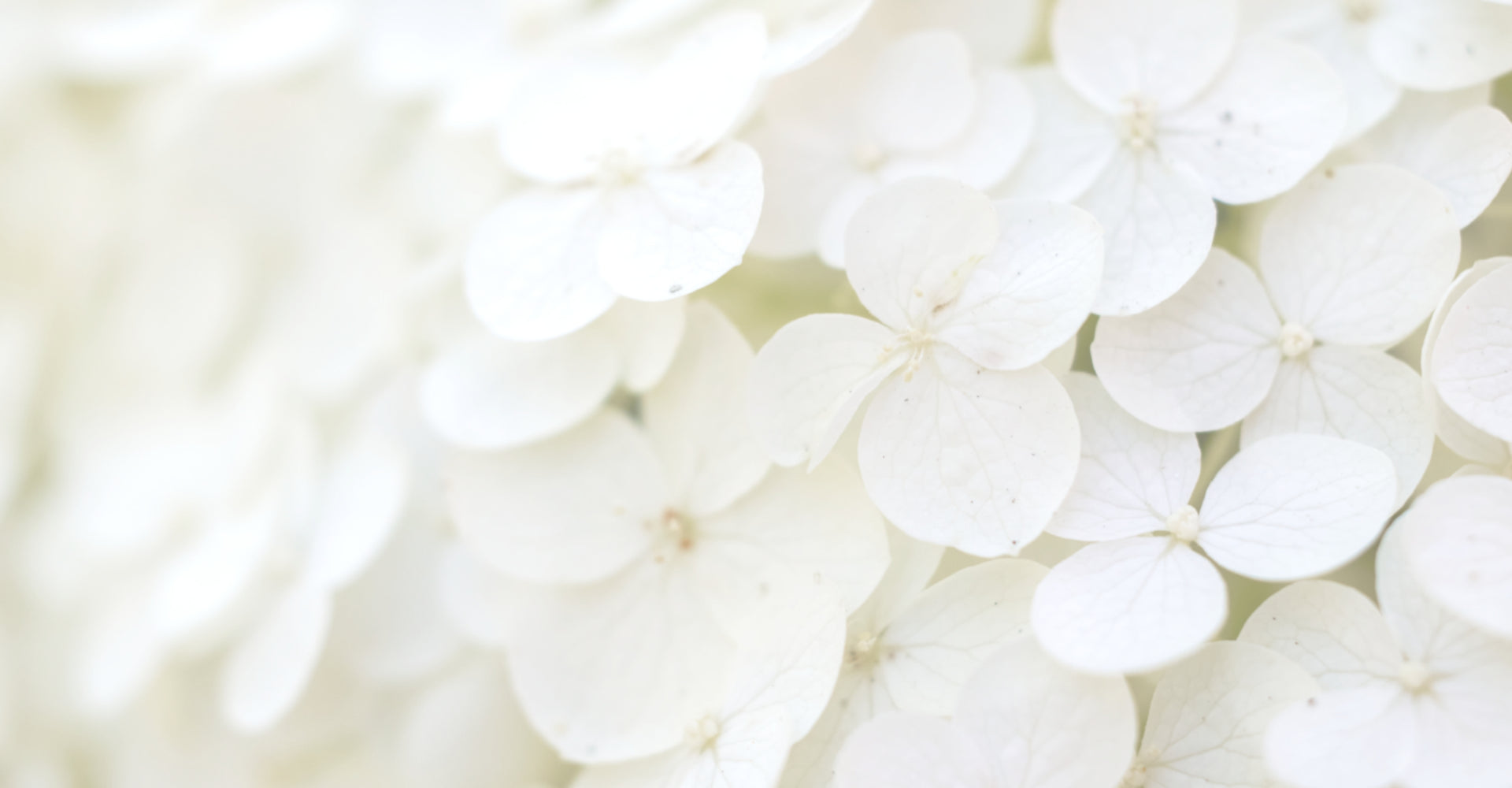 Refreshing a Nantucket Icon – Arhaus